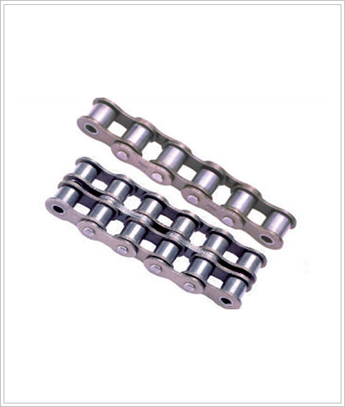 America Series Chain in Raipur